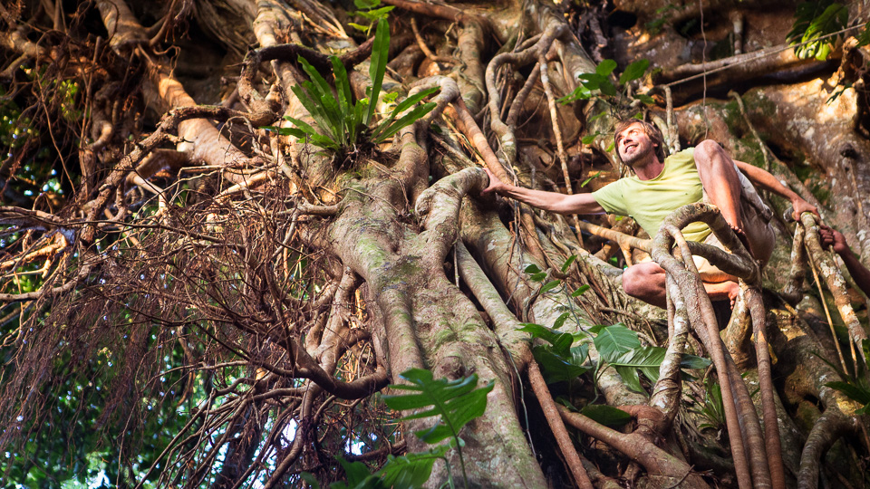 Ovava playground tree | The Family Without Borders