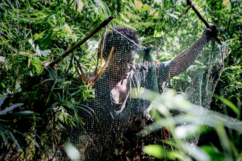 Fishing and Eating Sweet Water Prawns in Fiji on Ovalau Island | The ...